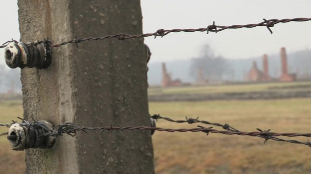 Auschwitz 'may turn away people' amid record visits - BBC News