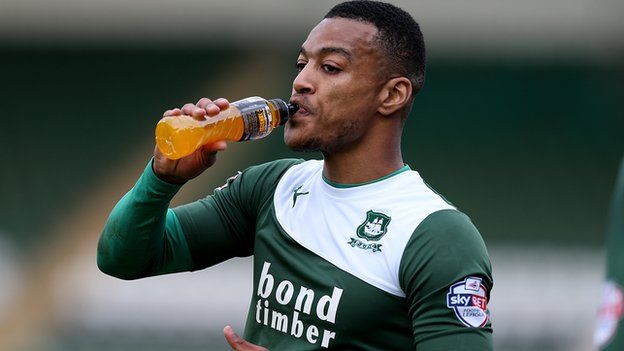 Torquay United: Chris Hargreaves hopes to sign non-contract trio - BBC ...