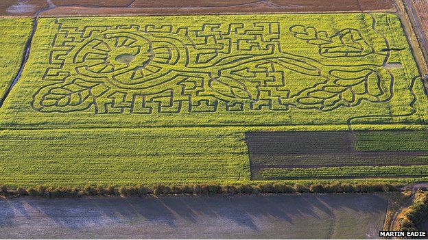 Huge poppy maze unveiled on Tasmanian farm as WWI tribute - BBC News