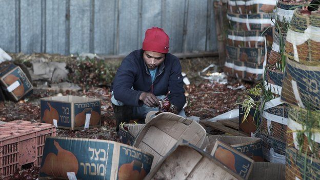 Israel's Thai farmworkers tell of grim plight - BBC News