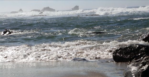 Conquering the wave that no-one dared to surf - BBC News
