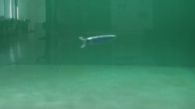 Southampton scientists develop 'octopus submarine' - BBC News