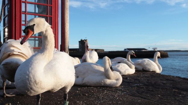 Your pictures of Scotland: 30 January - 6 February - BBC News