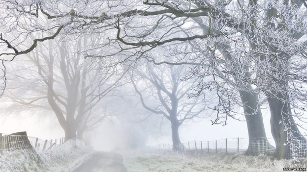 Your February weather photos - BBC Weather