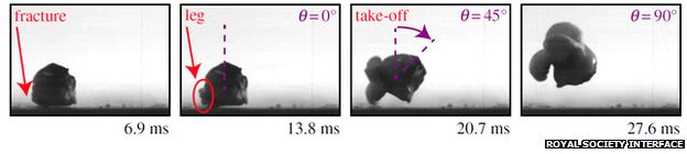 Popcorn's perfect recipe revealed - BBC News