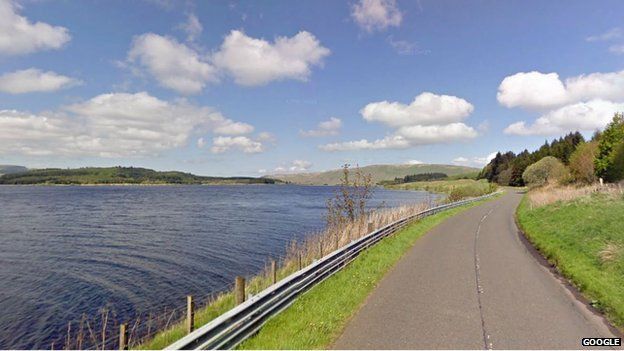 Probe as 14 dead hens found in bin in rural layby - BBC News