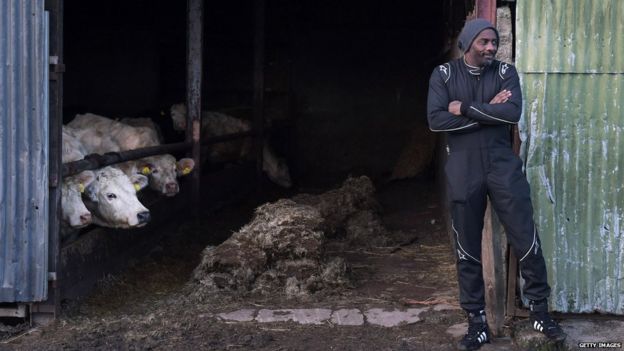 Idris Elba to take part in Circuit of Ireland Rally - BBC News