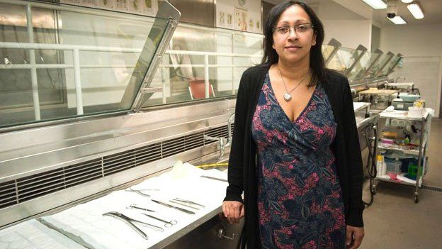 Weekend edition: The best of the week's reads - BBC News