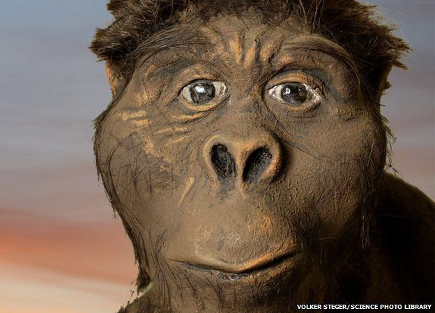 First humans lived 2.8 million years ago, jawbone shows - BBC Newsround