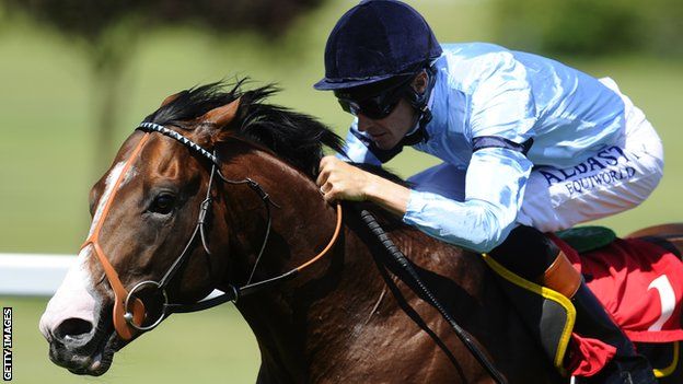 Angus Villiers | PigeonSwoop4