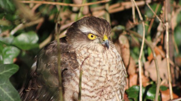 Your pictures of Scotland: 27 February - 6 March - BBC News