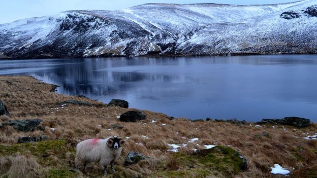 Your pictures of Scotland: 27 February - 6 March - BBC News