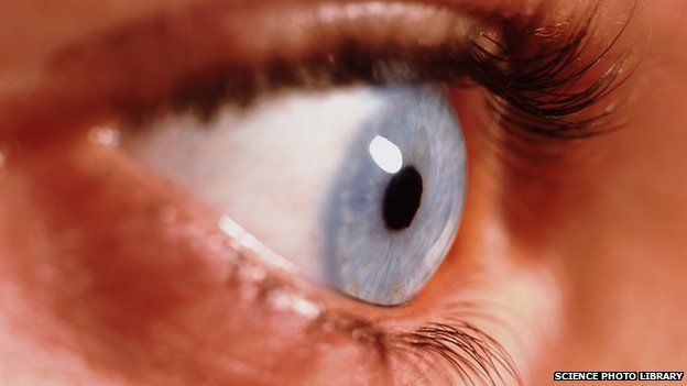 Shape of eye's 'light pipes' is key to colour sorting - BBC News