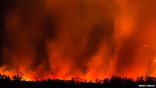NI fire service warns of damage caused by gorse fires - BBC News