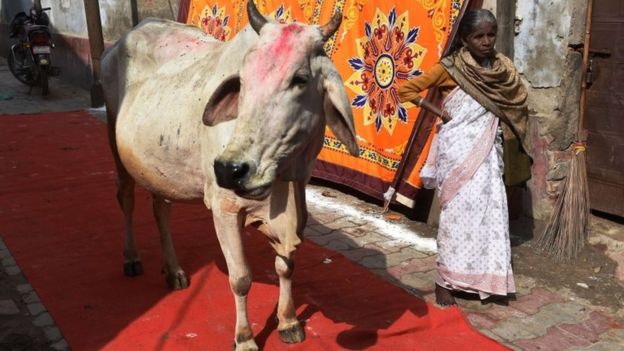 Outrage after Mumbai meat ban - BBC News