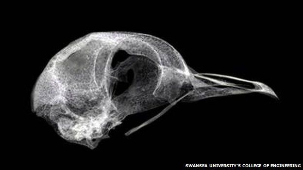 Swansea University gets £2.5m grant for microscopes - BBC News