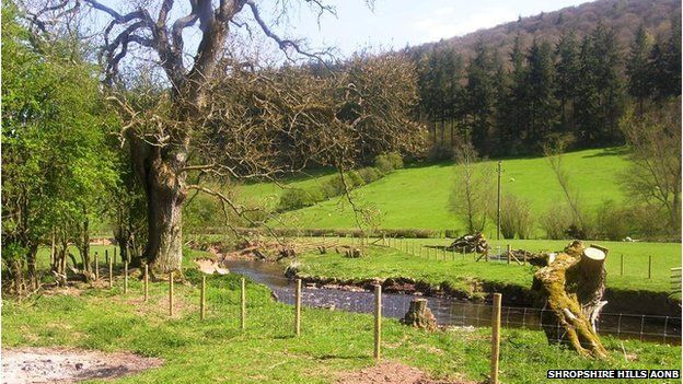 River Clun: Pearl mussel protection project begins - BBC News