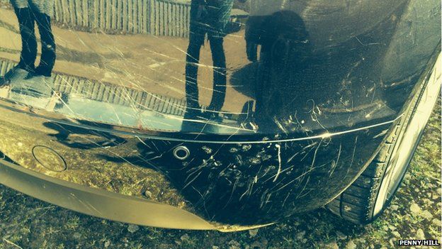 'Jealous' peacocks damage cars in Clyst St Mary - BBC News