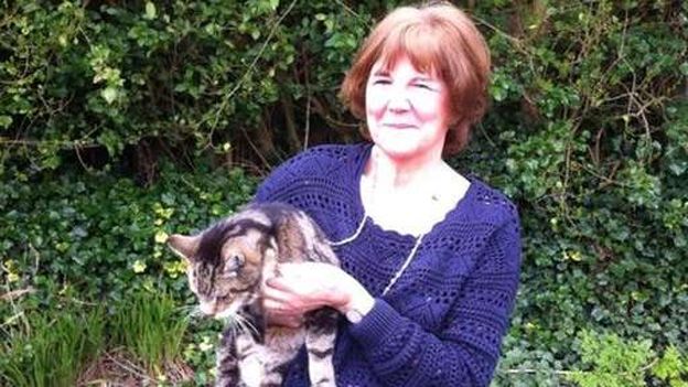 George the cat back home after 100-mile journey - BBC News