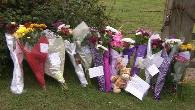 Pennie Davis death: Court case revealed secrets of New Forest family ...