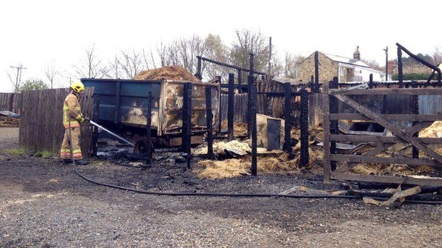 Sunderland stable block fire kills five horses - BBC News