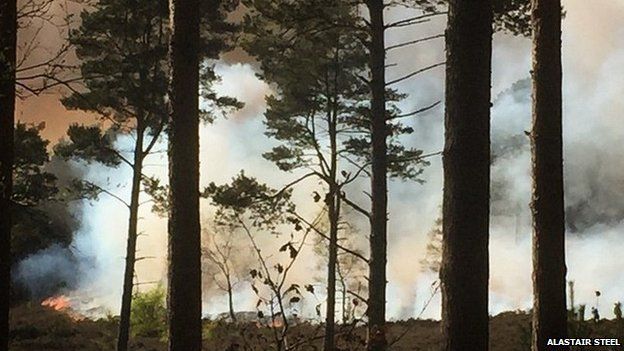 Surrey heathland fires: Suspected arson - BBC News