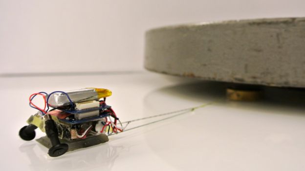 Seven animals that have inspired modern technology - BBC Newsround