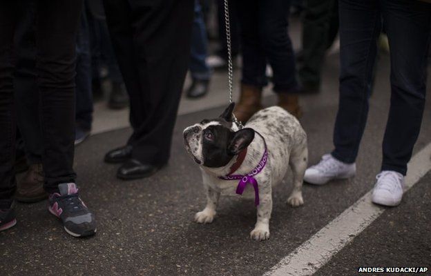 Week in pictures: 25 April-1 May 2015 - BBC News