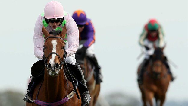 Irish Champion Hurdle: Faugheen wins at Leopardstown - BBC Sport