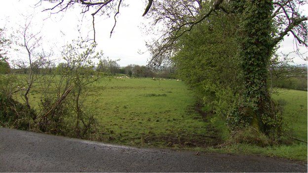 Man, 59, killed in Rasharkin crash - BBC News