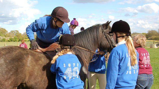 School ponies help boost pupils' life skills - BBC News