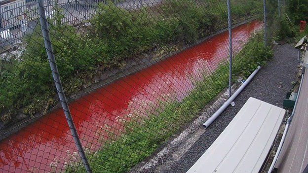 Blackstaff river: Belfast ink company says it's responsible for red ...
