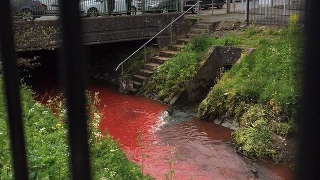 Blackstaff river: Belfast ink company says it's responsible for red ...