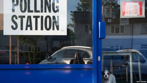 Dogs waiting sadly outside polling stations could be election day memes ...