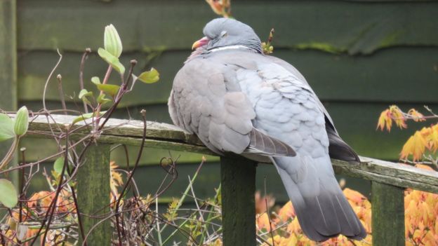 Your pictures of Scotland: 1 May - 8th May - BBC News
