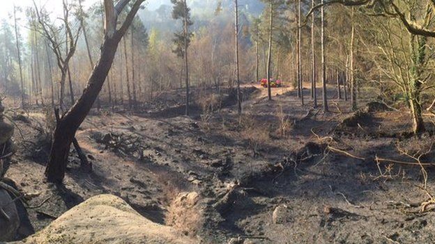 Oldham fire: More than 50 firefighters tackle woodland blaze - BBC News