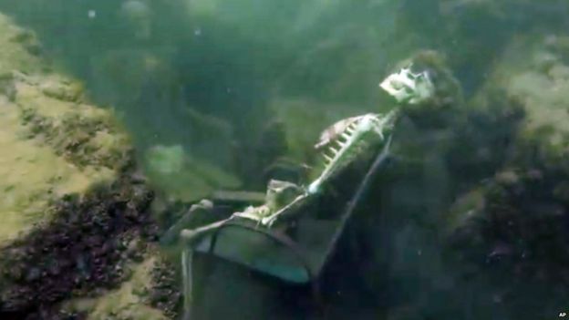 Diver finds underwater skeleton tea party - BBC News