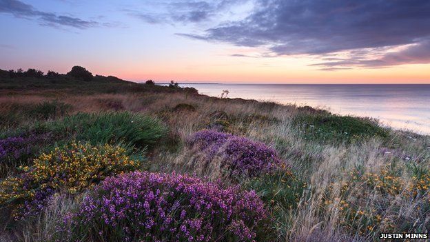 Dunwich heath land bought by National Trust - BBC News