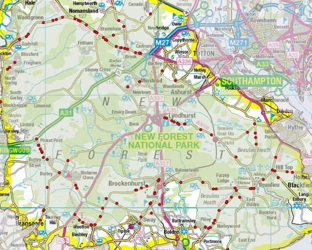 New Forest animal road collision map published - BBC News