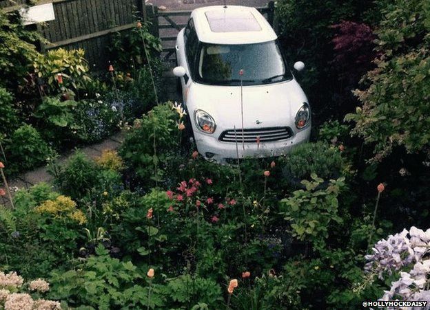 How does your front garden reflect your personality? - BBC News