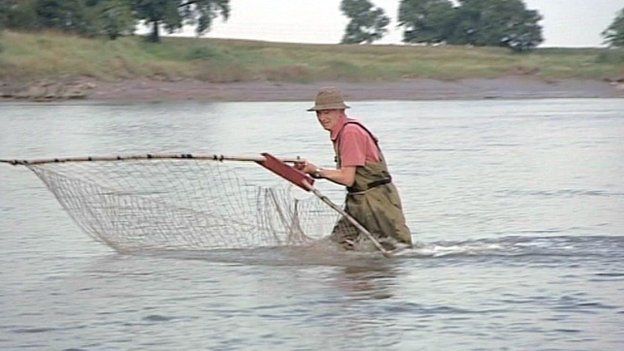 One-fish rule 'threatens' River Severn tradition - BBC News