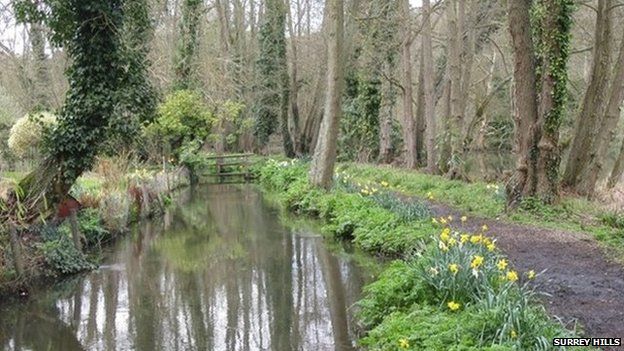 Tillingbourne Valley's industrial past to be explored - BBC News