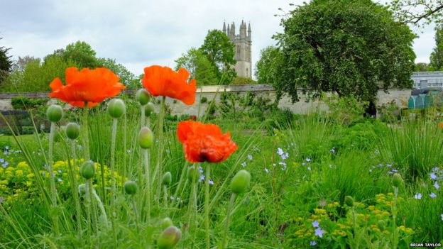 Late May UK weather pics - BBC Weather