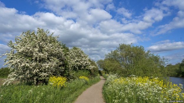 Late May UK weather pics - BBC Weather