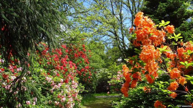 Late May UK weather pics - BBC Weather