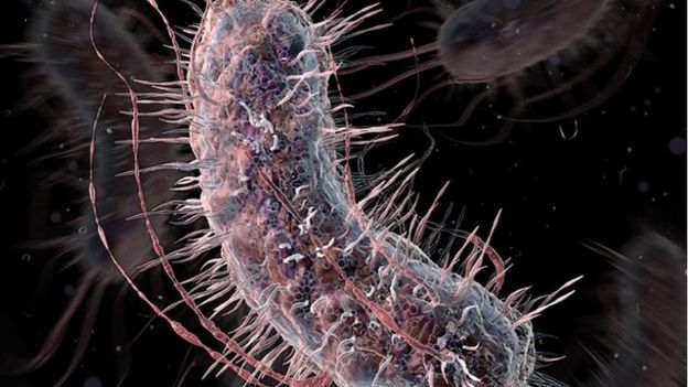 Bacteria 'see' like tiny eyeballs - BBC News