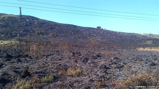 Carn Brea gorse fire land 'will take years to recover' - BBC News