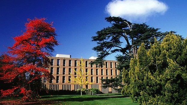 University of Reading unveils plan for £50m building - BBC News