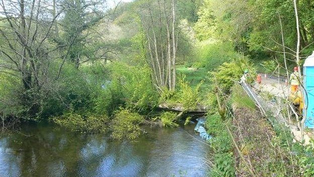 Crane fishes 80ft tree from River Exe after March storms - BBC News