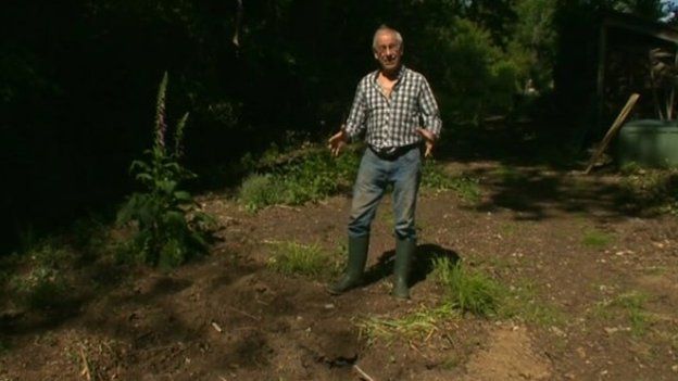 Gardener unearths WWII hand grenade in Liss, Hampshire - BBC News